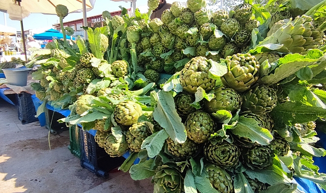 Urla Enginarı tüm kalbiyle sizi çağırıyor - Yerel - Agora Medya